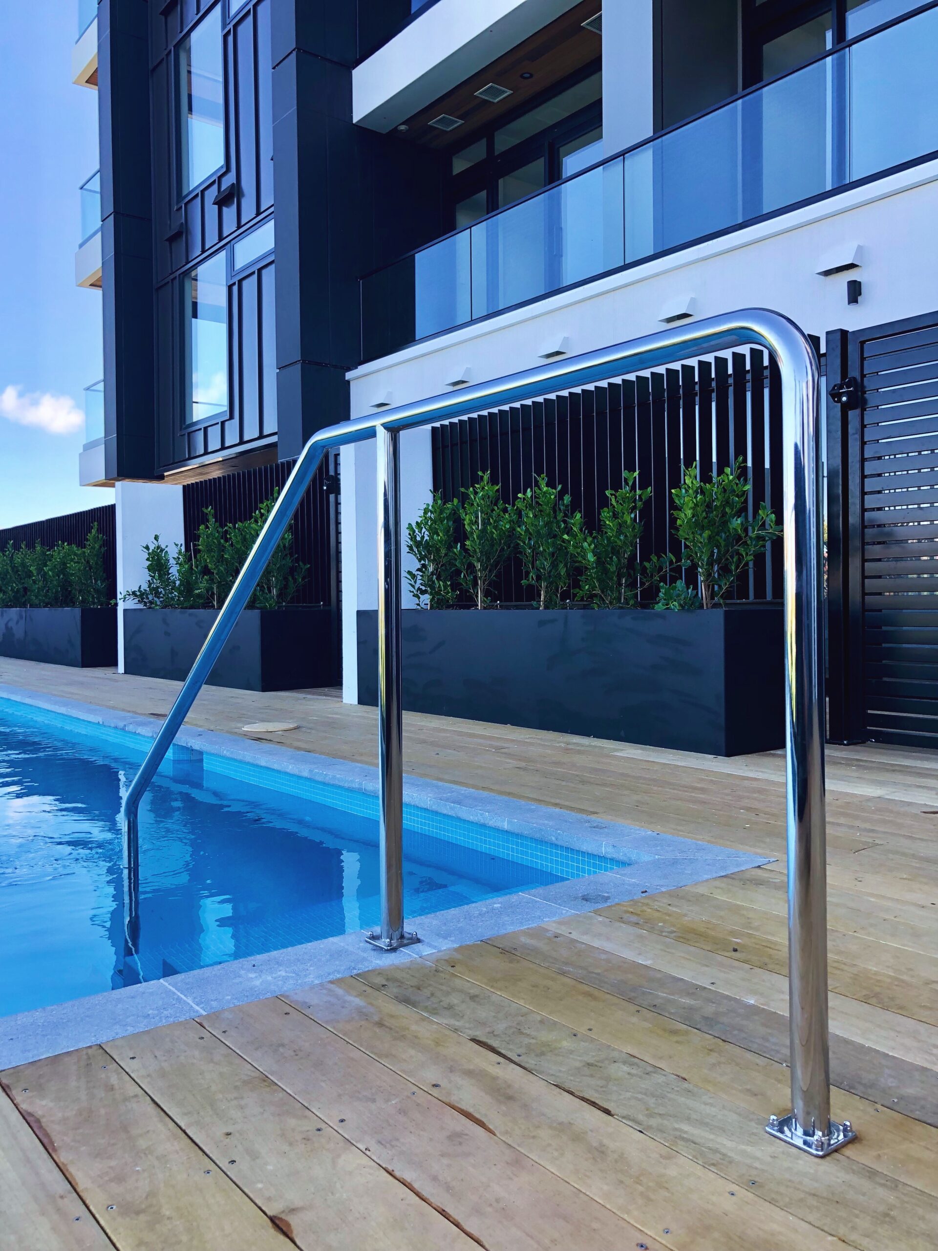 Stainless Steel Railings and Ladders for Swimming Pool Safety ...